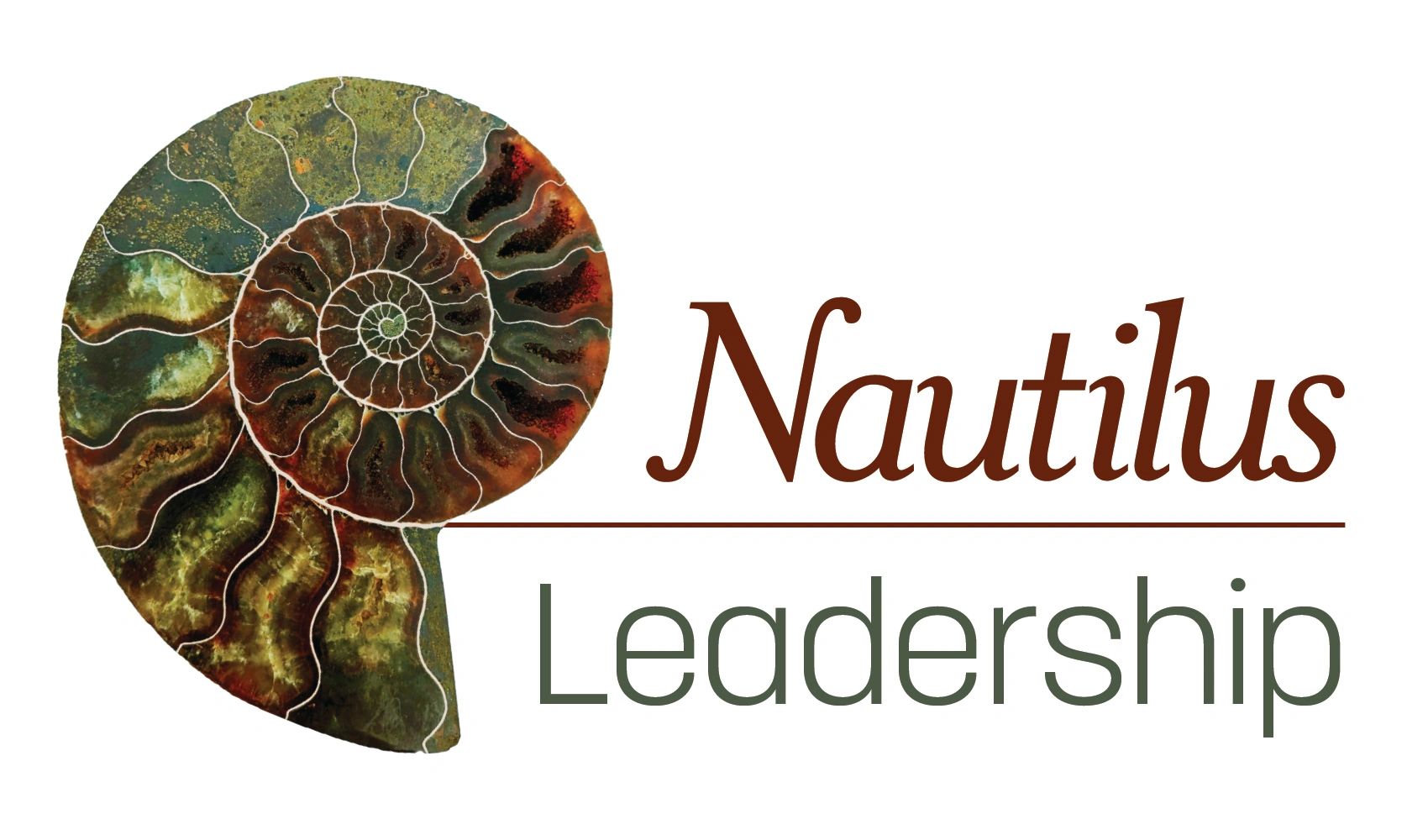 Executive Coaching Services | Nautilus Leadership
